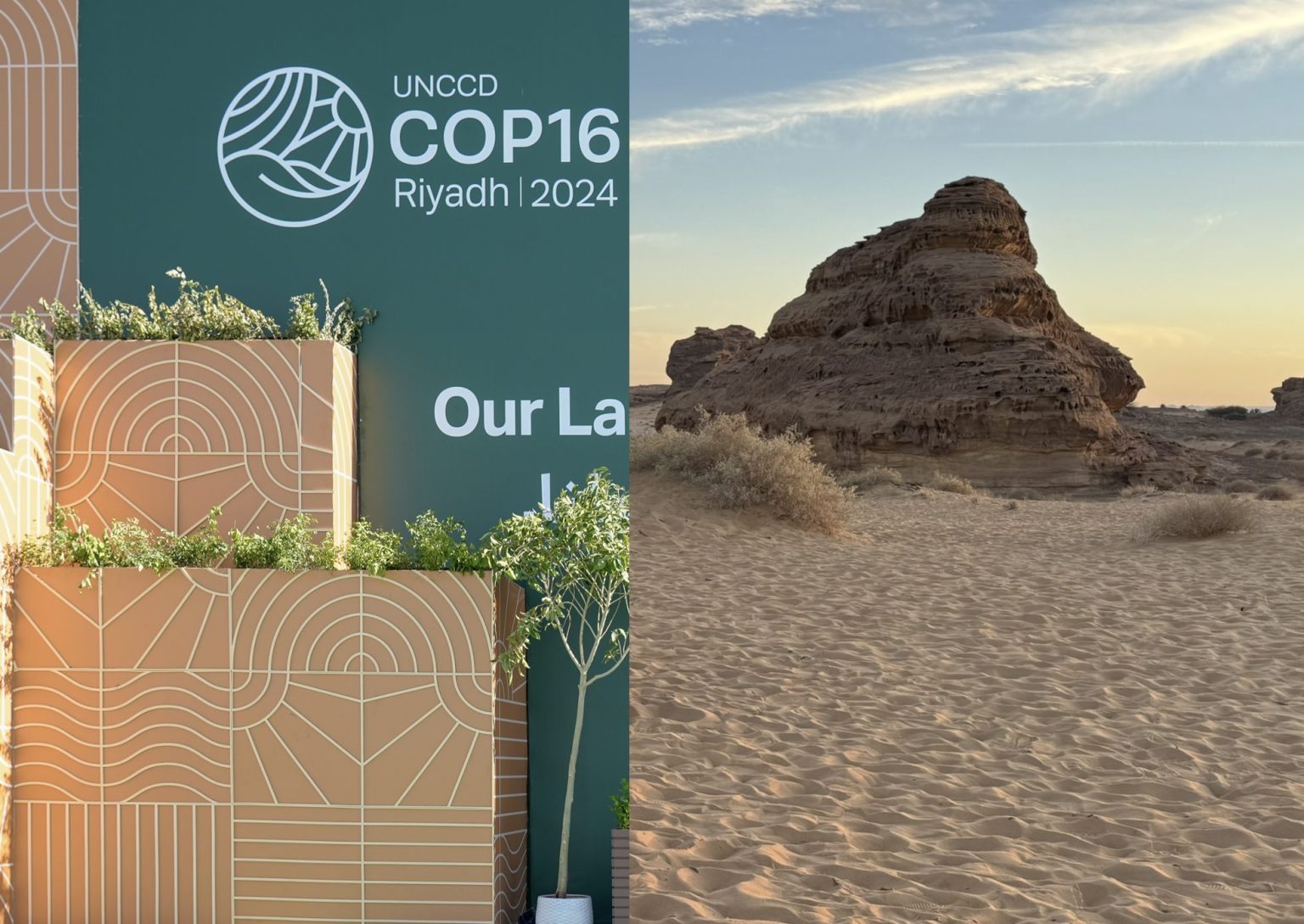 Gridlock as Riyadh COP16 Fails to Deliver Drought Protocol Deal ...